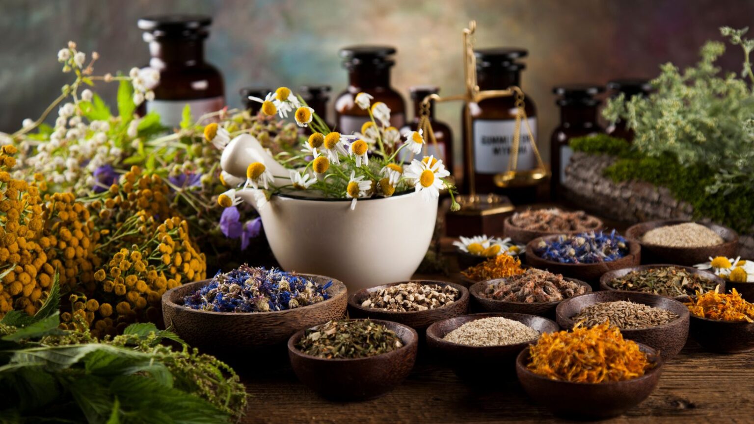 What's The Difference Between Yagé and Ayahuasca? - Thehealthyprimate